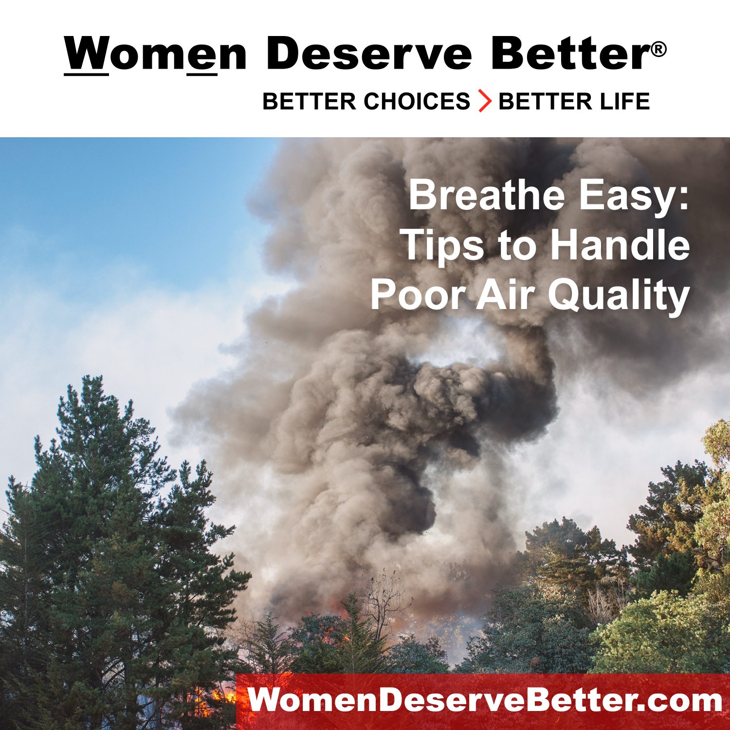 Breathe Easy: Tips to Handle Poor Air Quality